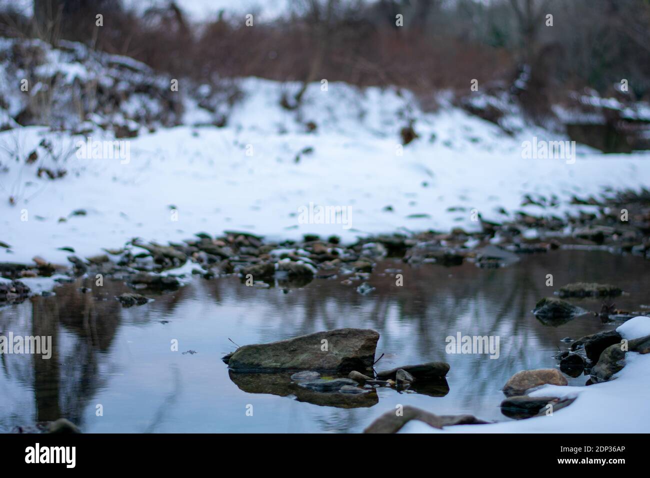Small creek tree hi-res stock photography and images - Alamy