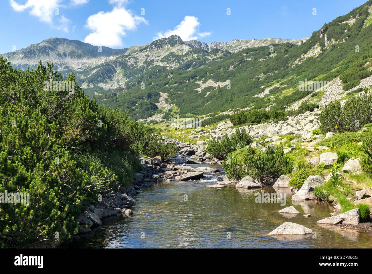 Summer landscape of Banderitsa River at Pirin Mountain, Bulgaria Stock ...