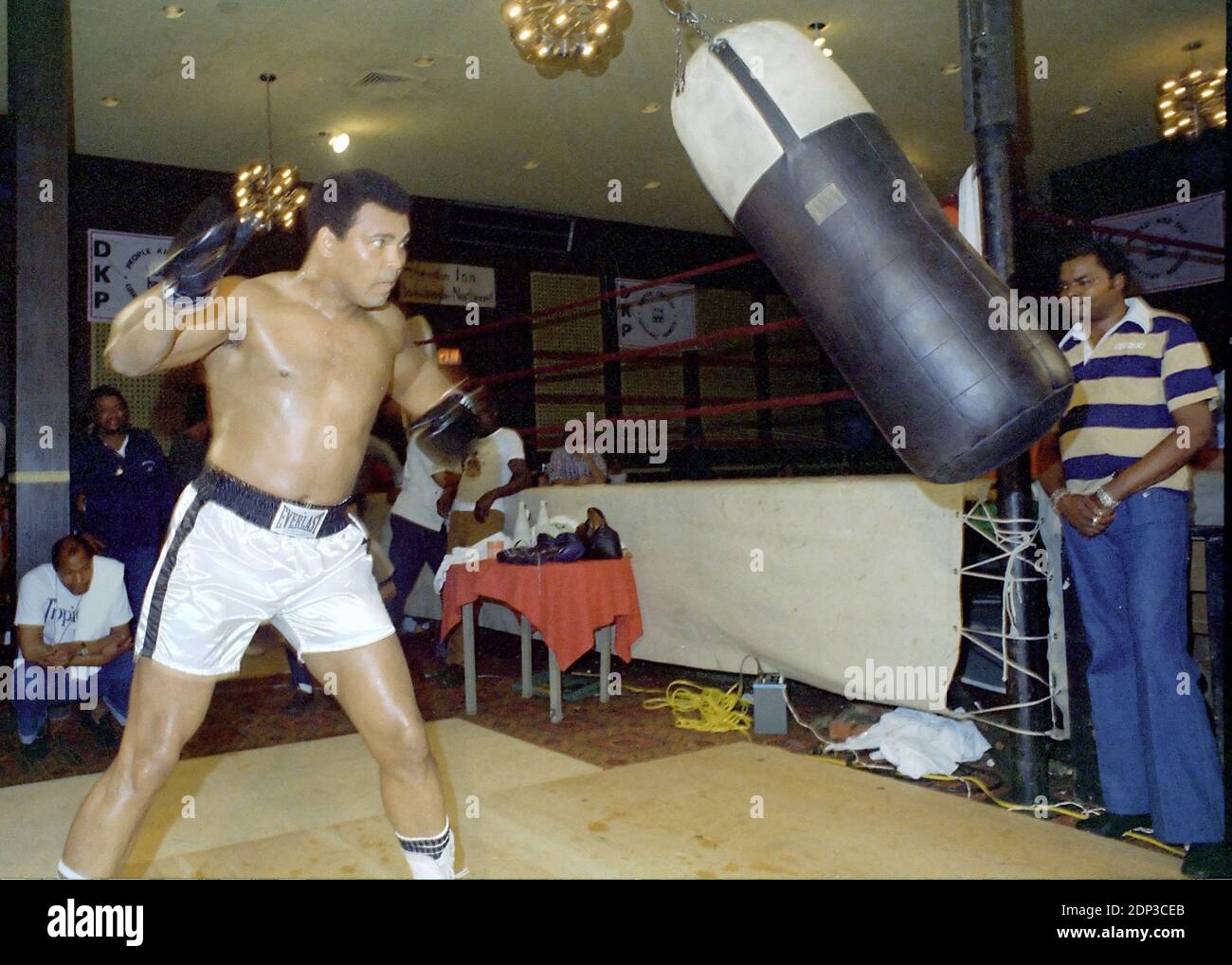 Ali drew hi-res stock photography and images - Alamy