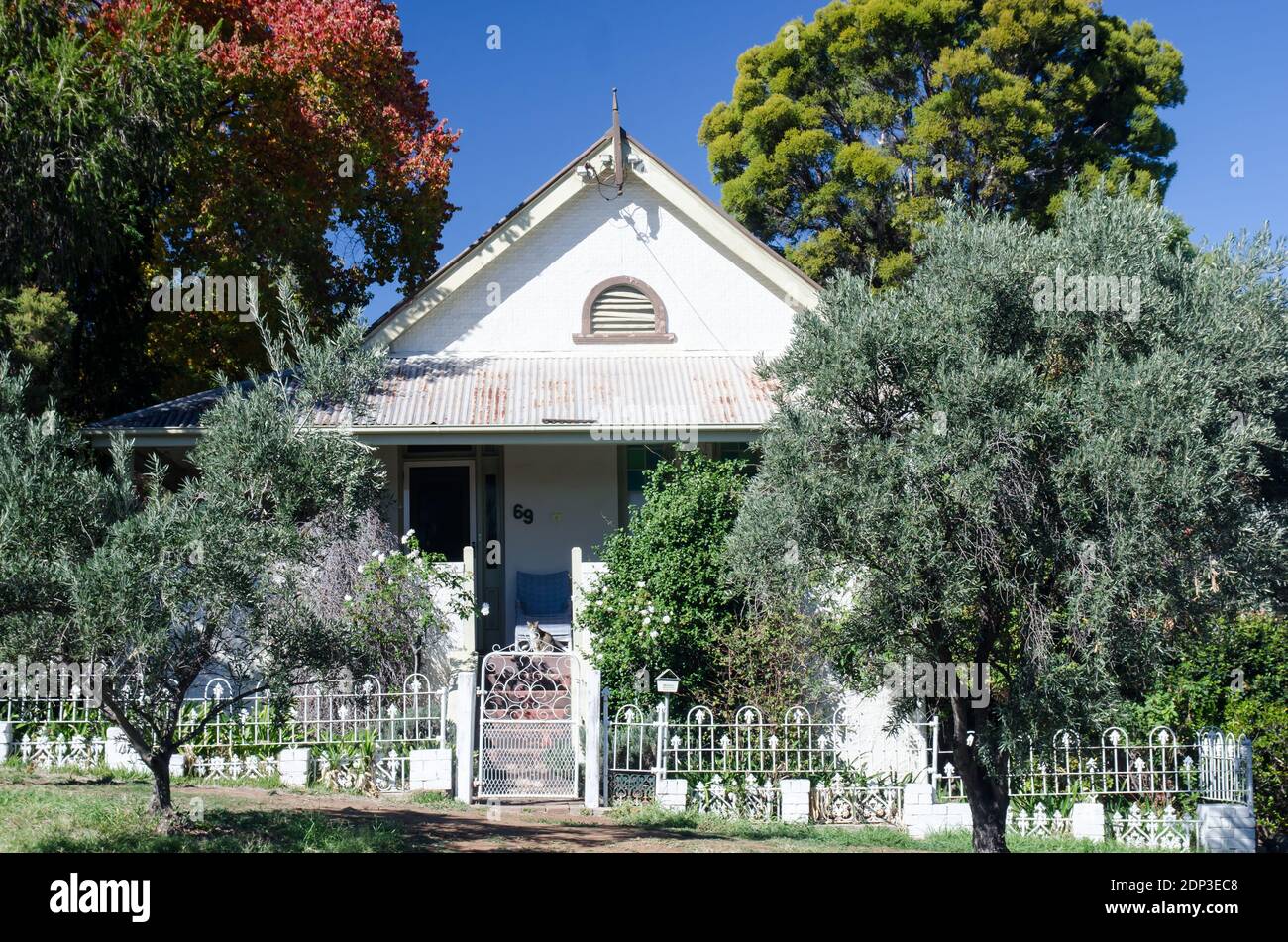 Australian 1920s Cottage with trees, shrubs,and an elaborate iron fence ...