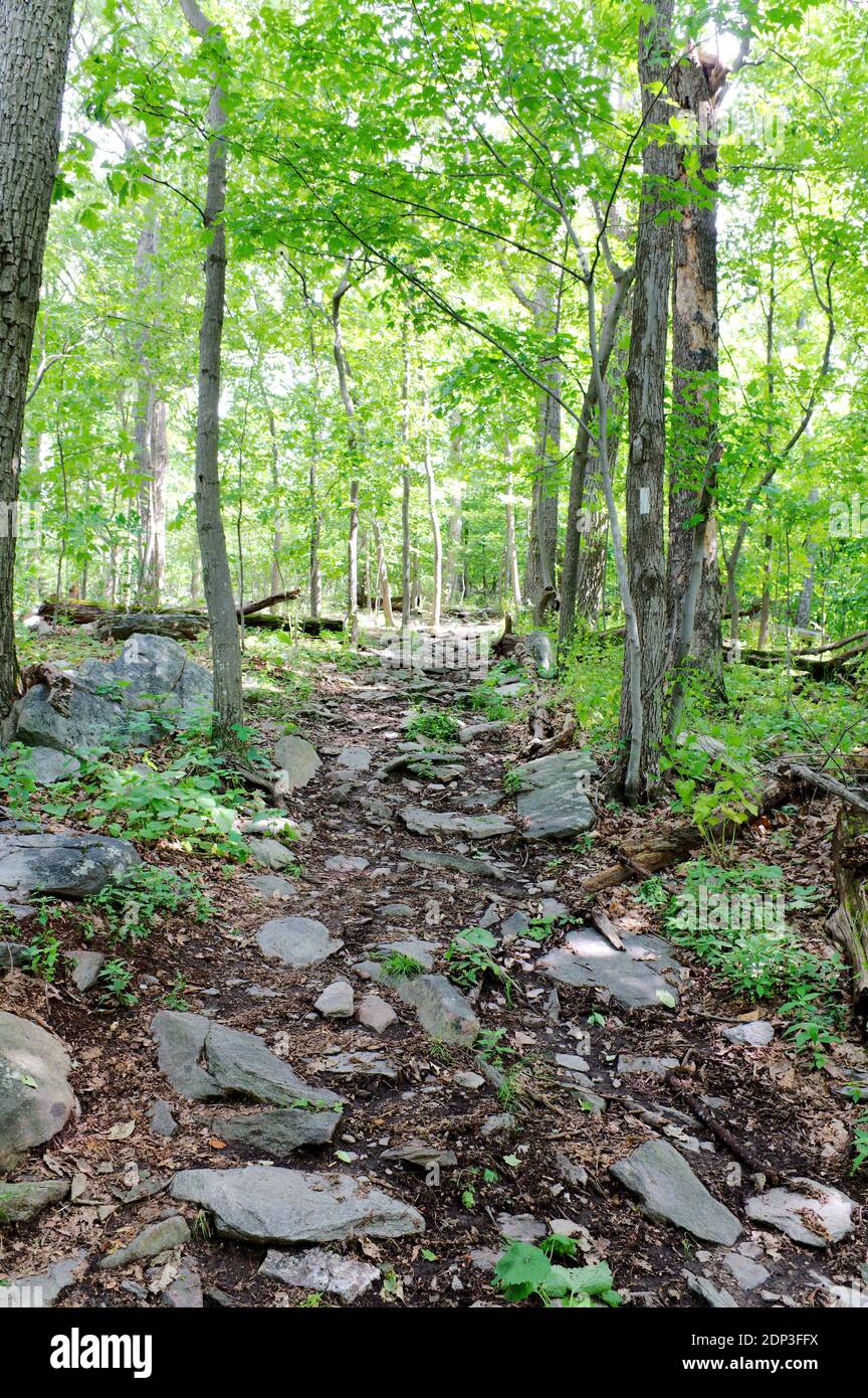 Maryland hiking trail hi-res stock photography and images - Alamy
