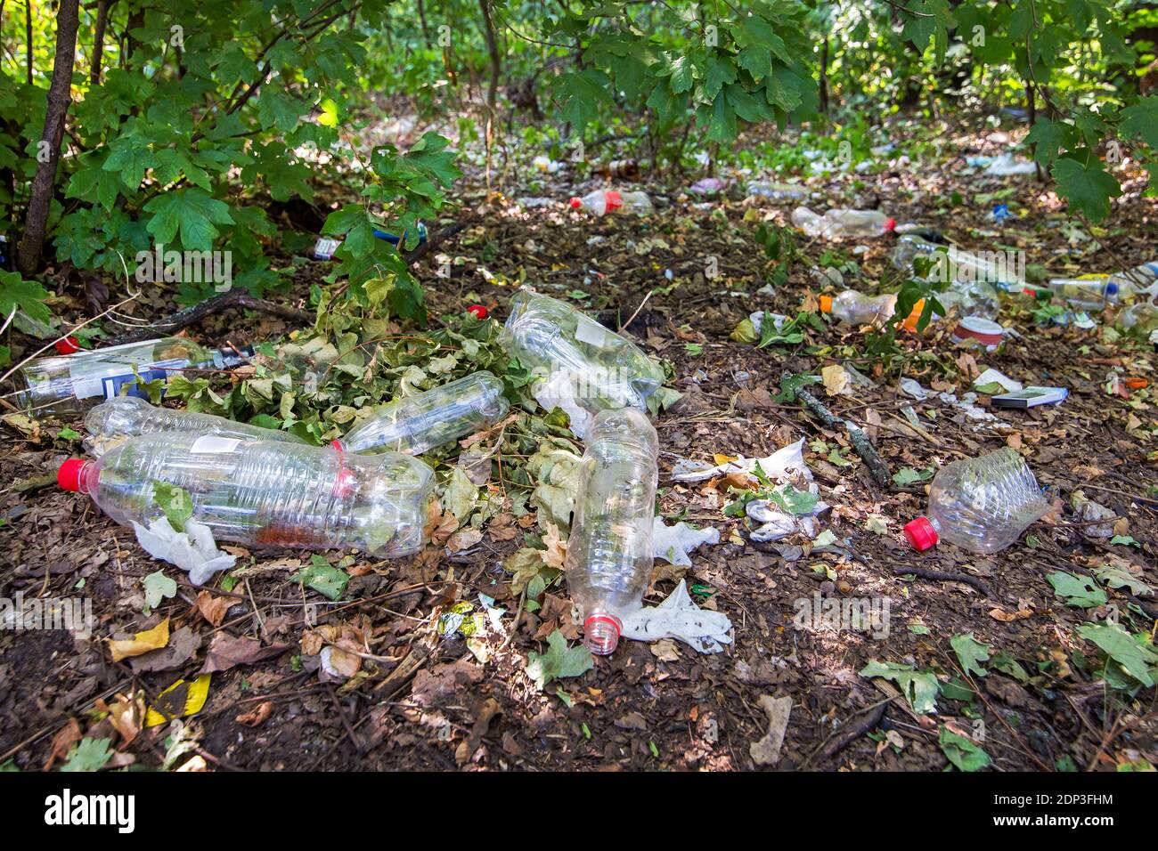 plastic bottles and plastic garbage in the forest on the ground ...