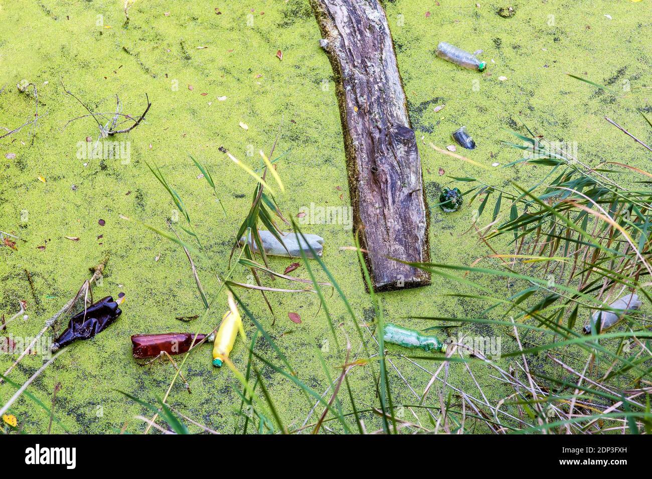 Garbage filled river hi-res stock photography and images - Alamy