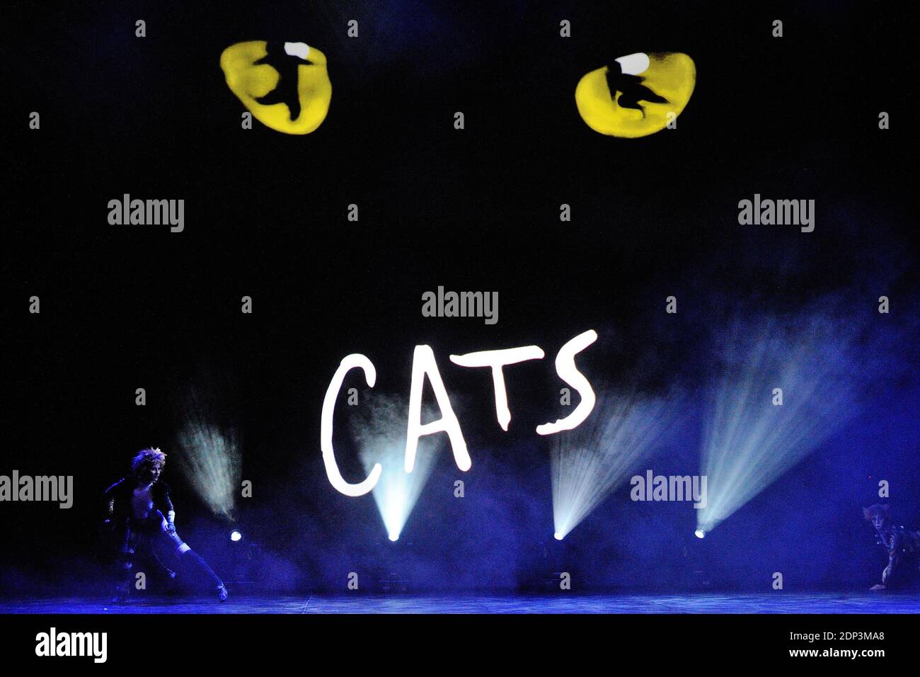General atmosphere during a press presentation of the musical 'Cats' at ...