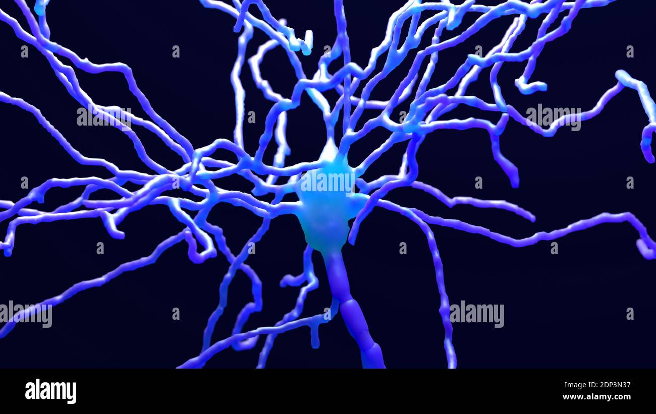 Nerve cell, illustration Stock Photo - Alamy