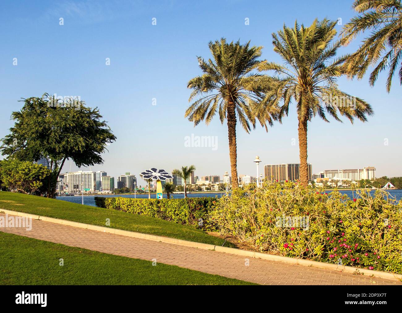 Smart palm installation in the creek park, Dubai Stock Photo - Alamy