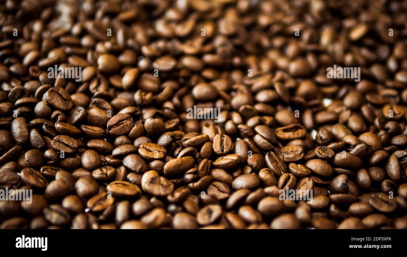 Fragrant roasted coffee beans.Roasted coffee grains,appetizing,fragrant ...