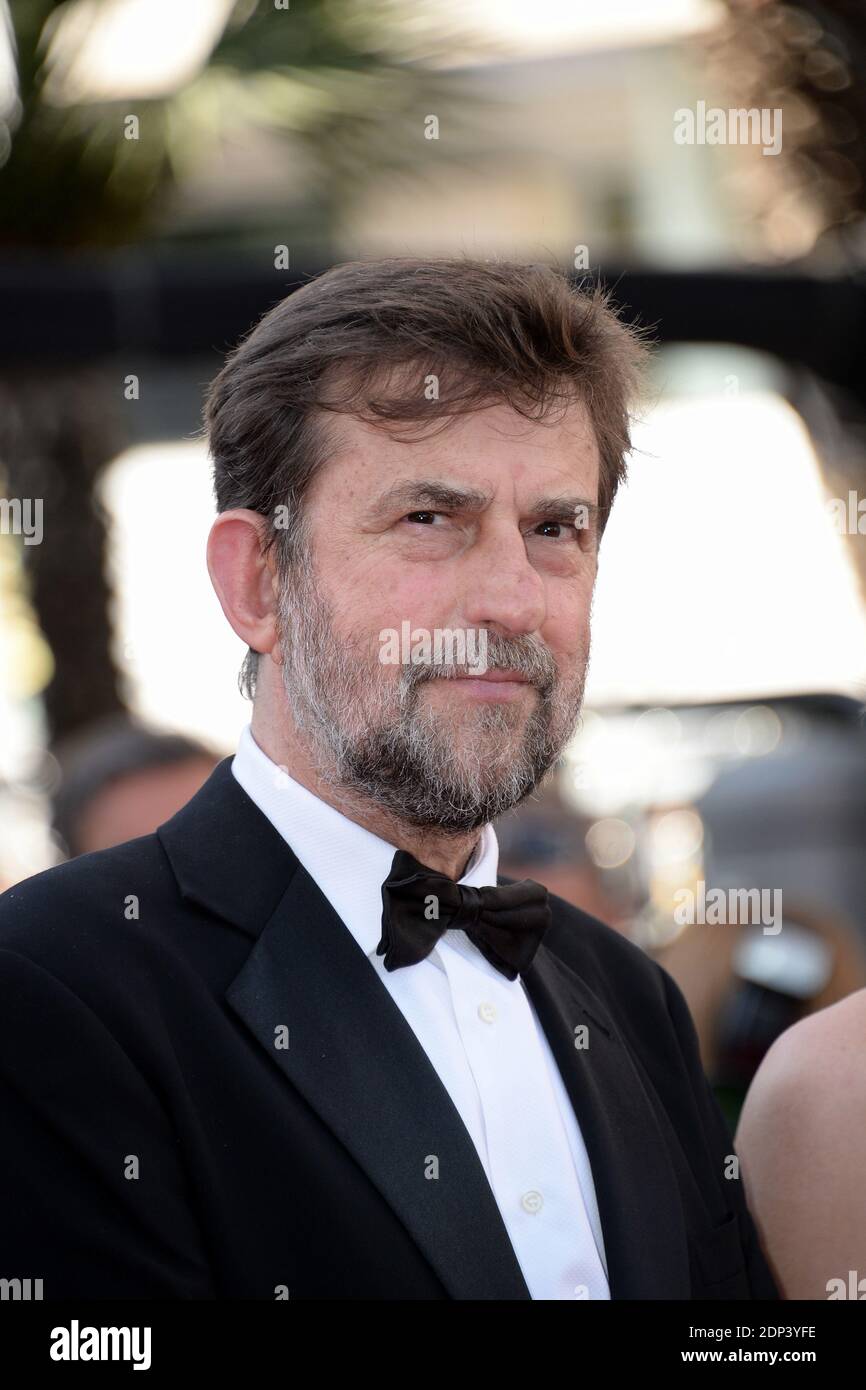 Director Nanni Moretti attending the 'Mia Madre' ('My Mother') Premiere ...