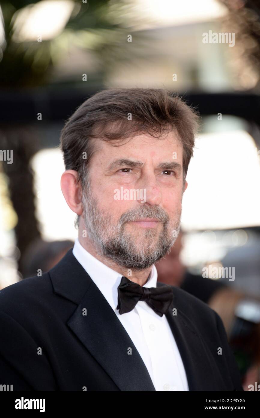 Director Nanni Moretti attending the 'Mia Madre' ('My Mother') Premiere ...