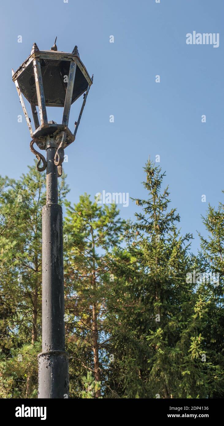 A pillar with a broken lantern. Trees in the park. New Year tree in the ...
