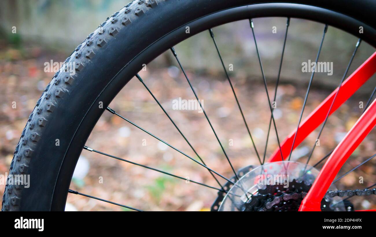 Rubber tire,bicycle wheel close-up,stars on the wheel.Sports lifestyle ...