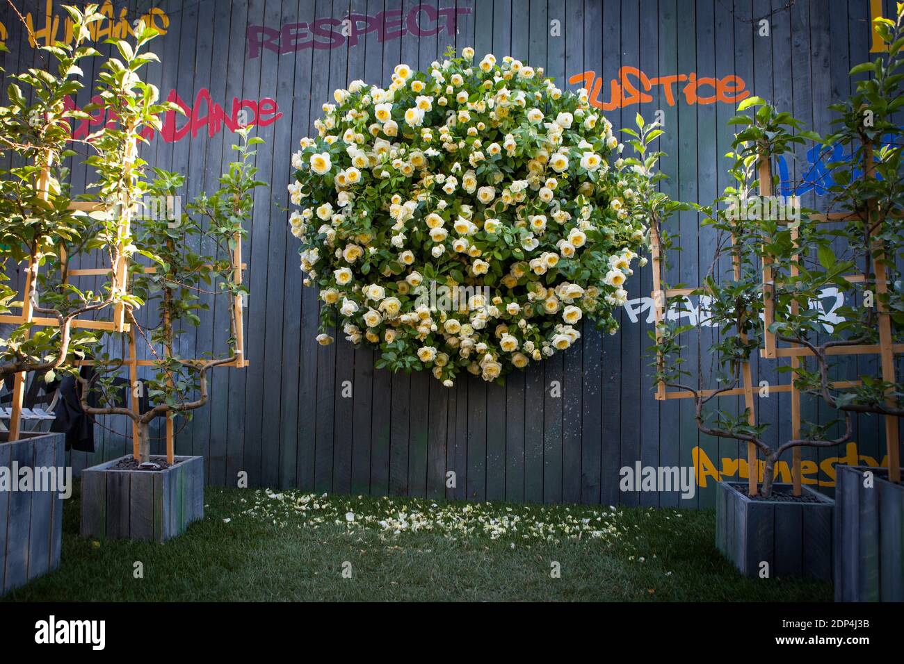 Delbard hi-res stock photography and images - Alamy