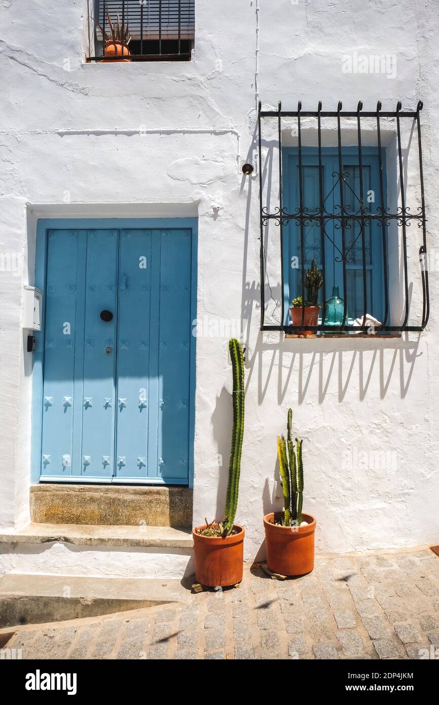 Two cactuses outside front door of Spanish house Stock Photo - Alamy
