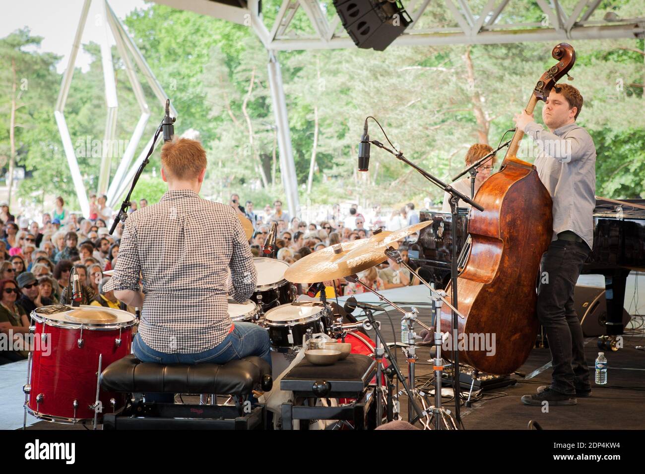 Gogo penguin hi-res stock photography and images - Alamy