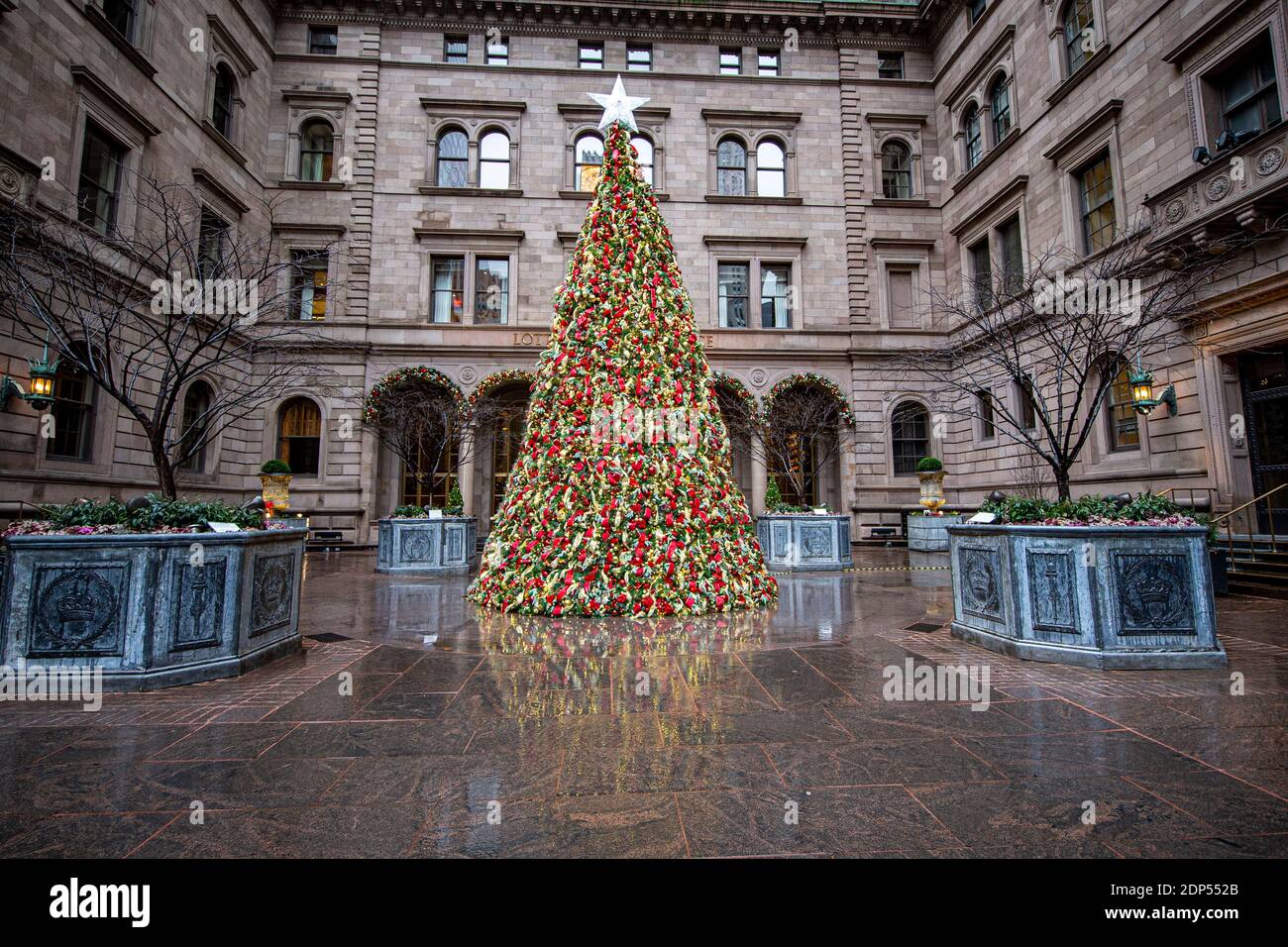 The Christmas tree in the courtyard of the Lotte New York Palace in New ...