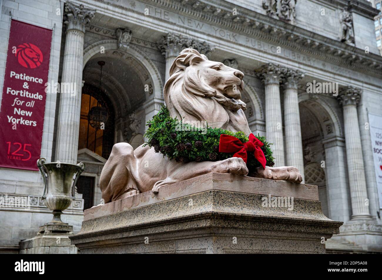 The statue of Patience the lion wears a Christmas wreath around its ...