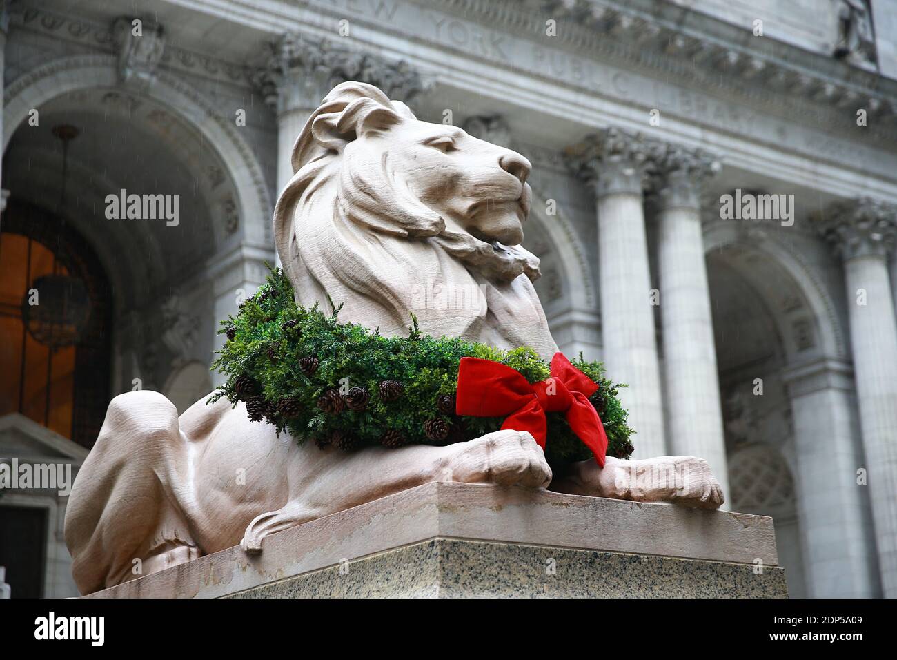 The statue of Patience the lion wears a Christmas wreath around its ...