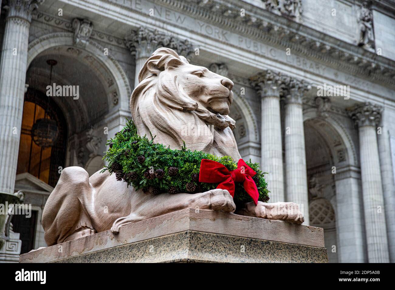 The statue of Patience the lion wears a Christmas wreath around its ...