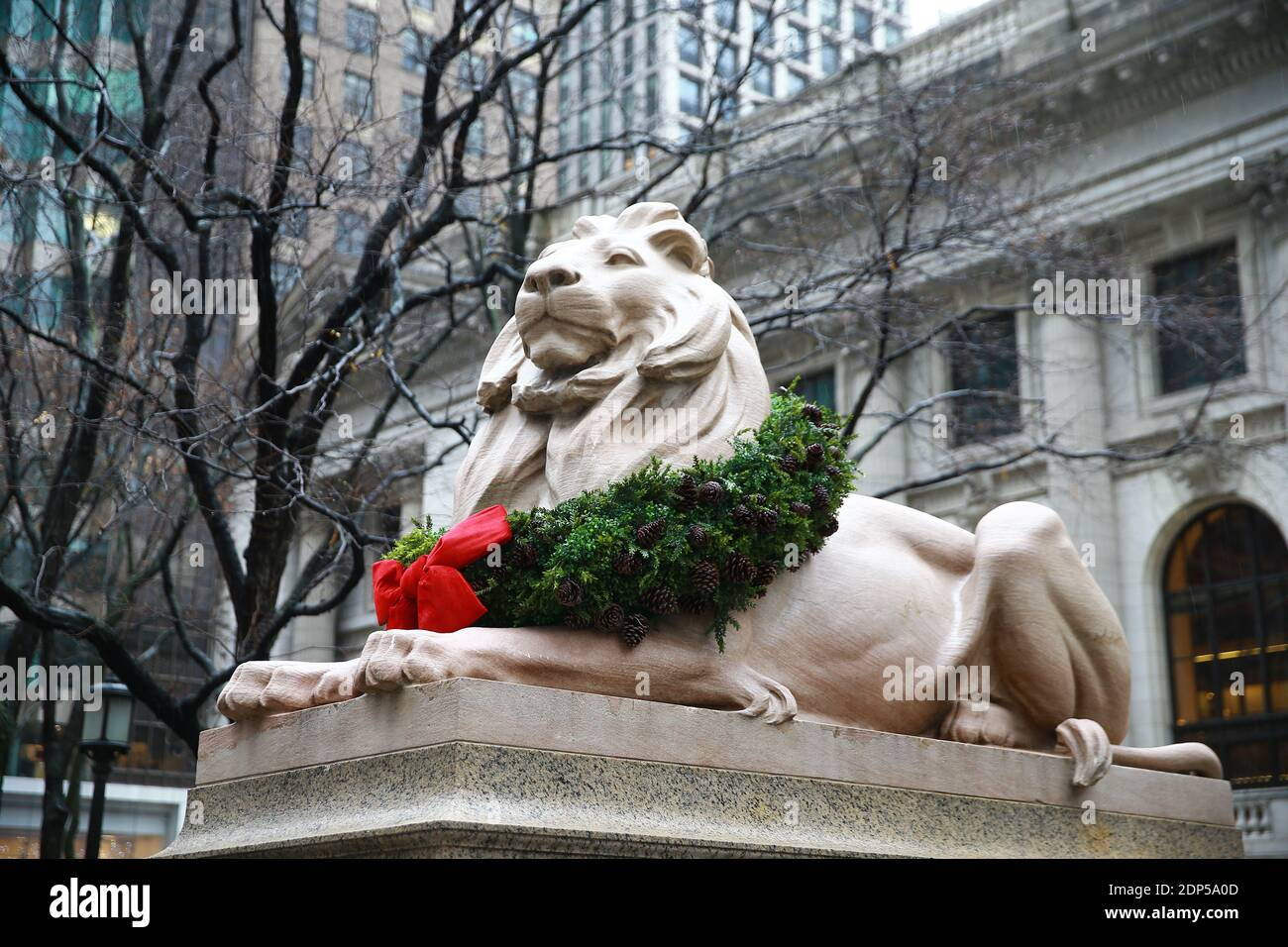 The statue of Patience the lion wears a Christmas wreath around its ...