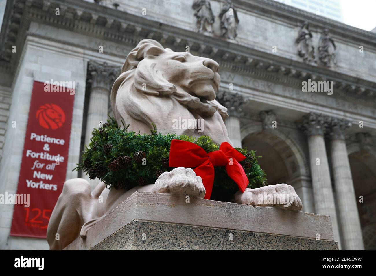 The statue of Patience the lion wears a Christmas wreath around its ...