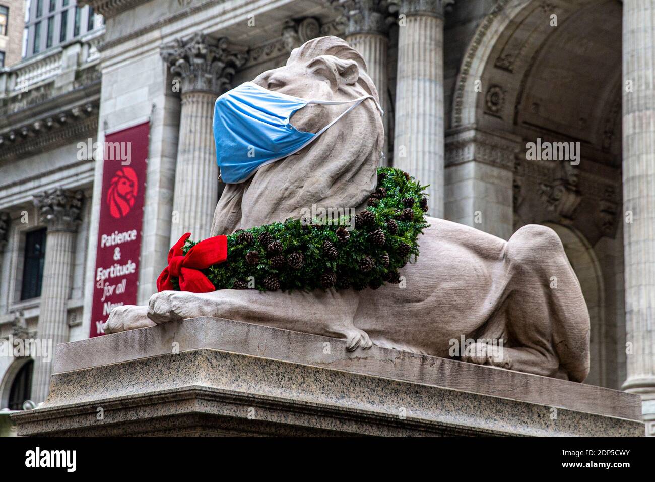 The statue of Patience the lion wears a Christmas wreath around its ...