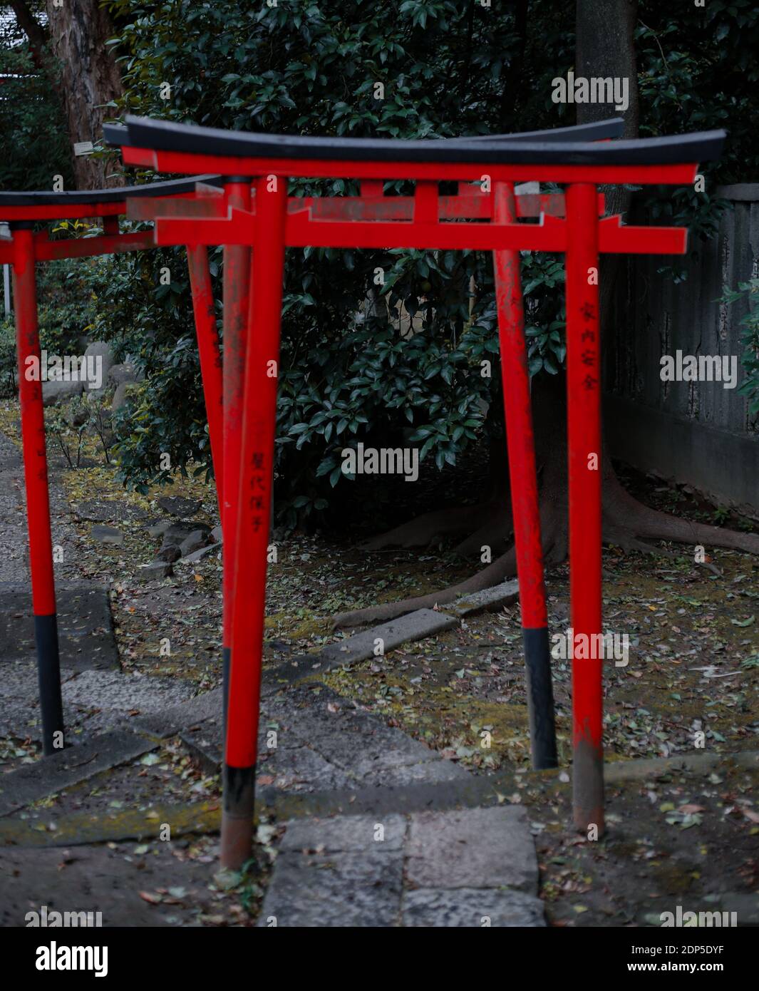 Walkway at buddhist temple in Tokyo, Japan Stock Photo - Alamy