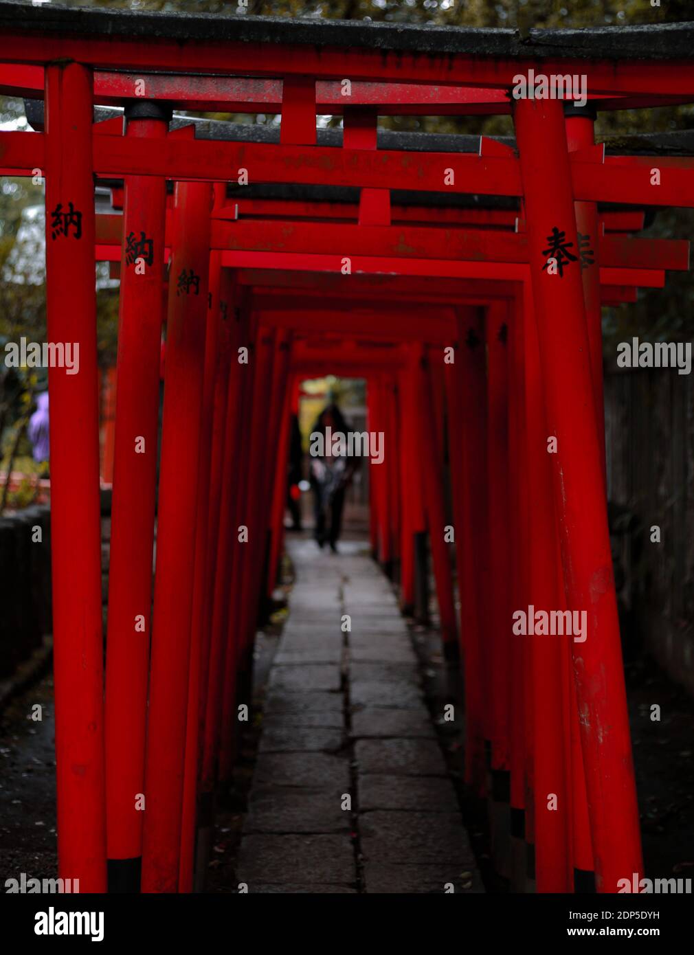 Walkway at buddhist temple in Tokyo, Japan Stock Photo - Alamy