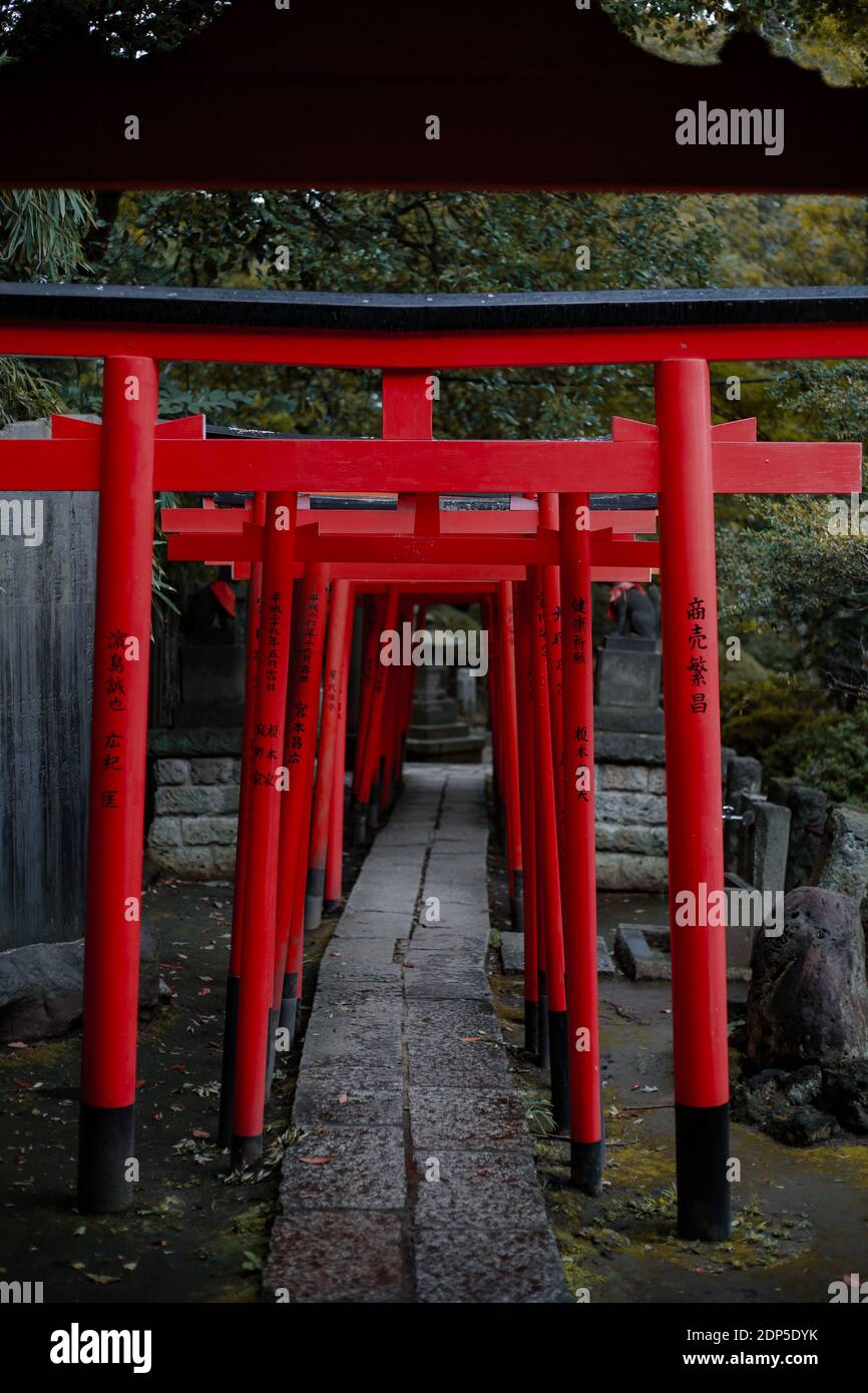 Walkway at buddhist temple in Tokyo, Japan Stock Photo - Alamy