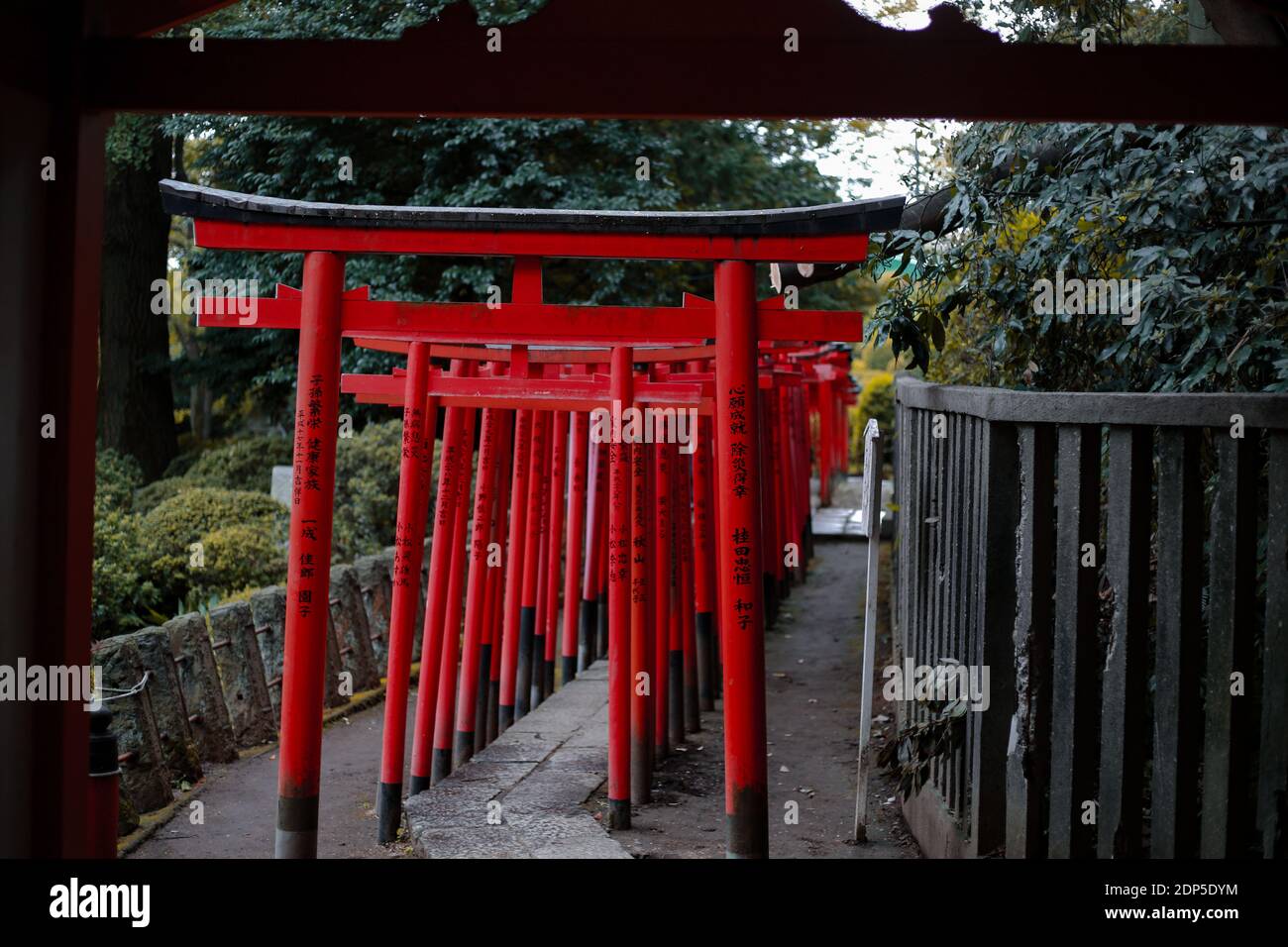 Walkway at buddhist temple in Tokyo, Japan Stock Photo - Alamy
