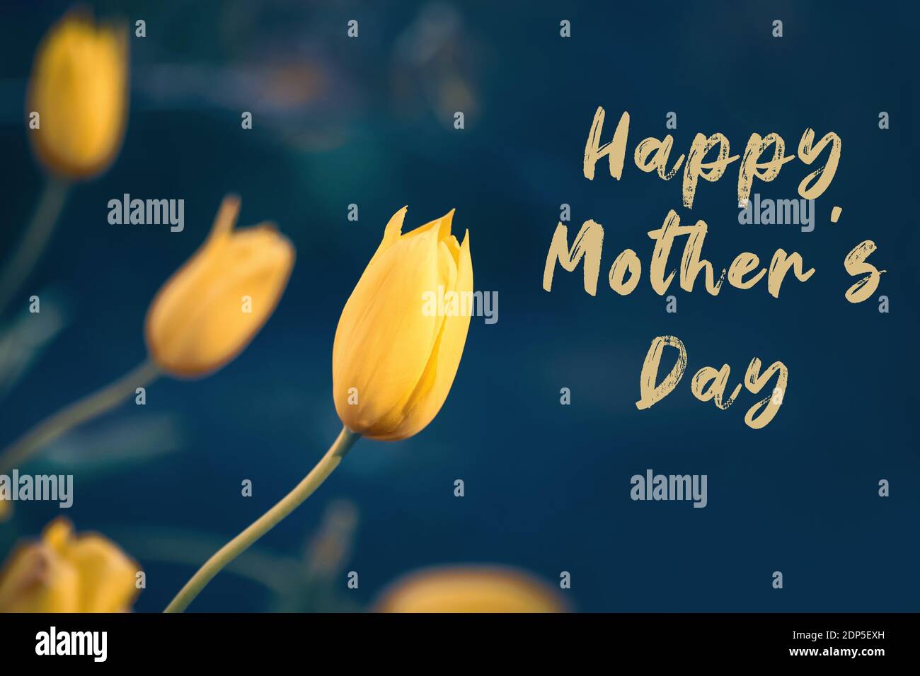 Happy mothers day. Holiday card with greeting text. Beautiful yellow ...