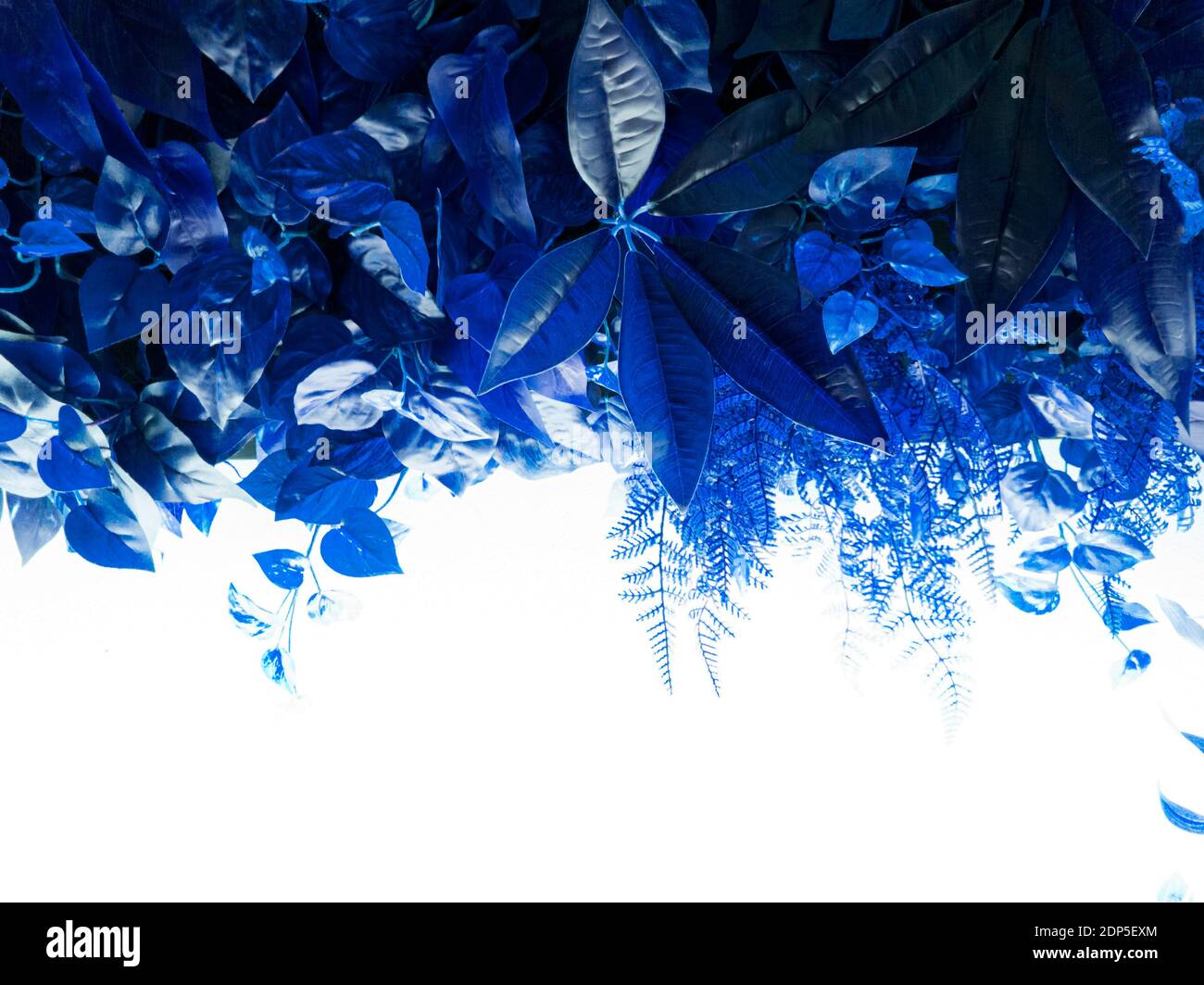 Tonal effect image of sagging plants 14 Stock Photo - Alamy