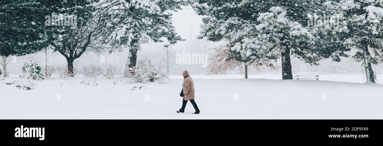 Winter outdoor scene. Man walking under snow in park. Heavy snowfall ...