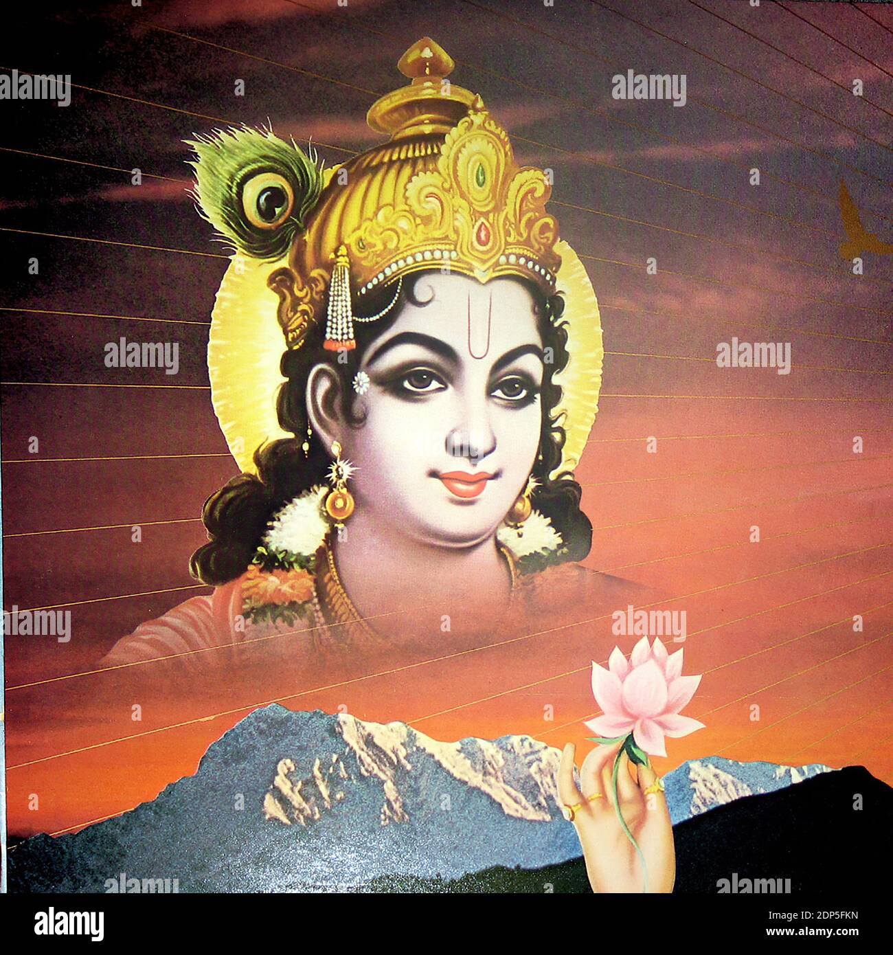 Santana lp hi-res stock photography and images - Alamy