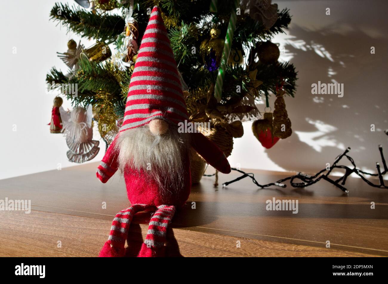 Dwarf sitting under christmas tree Stock Photo - Alamy