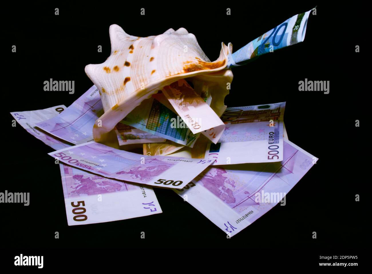 Euro banknotes of different denominations are at sea shell Stock Photo ...