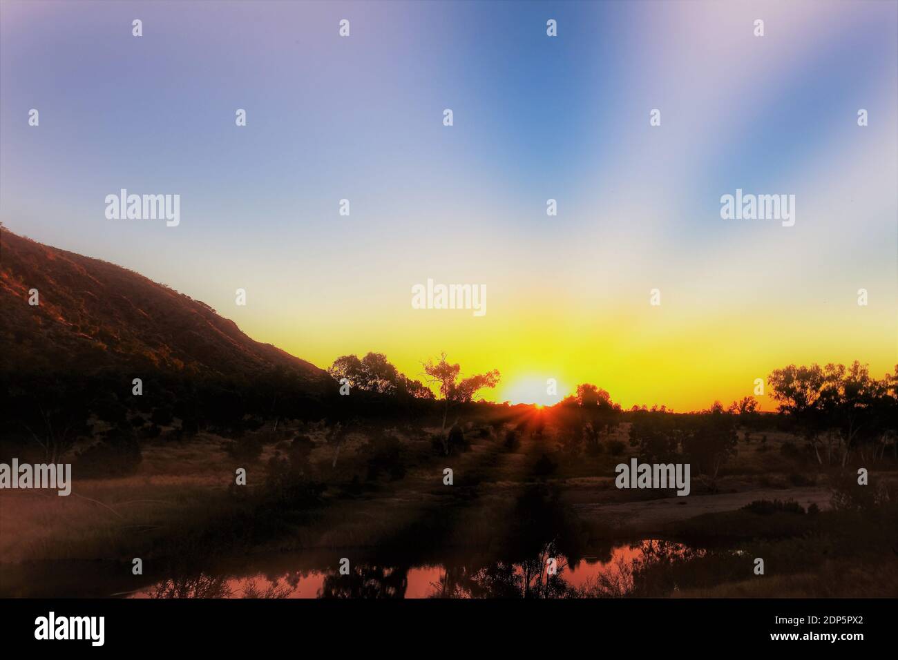 Australia moon bird hi-res stock photography and images - Alamy