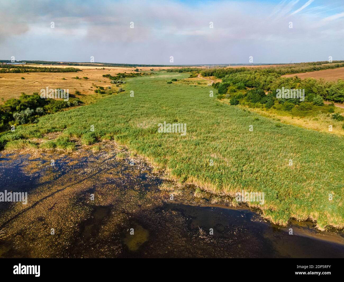 Country landscape with green trees on hill and steppe. View of the ...