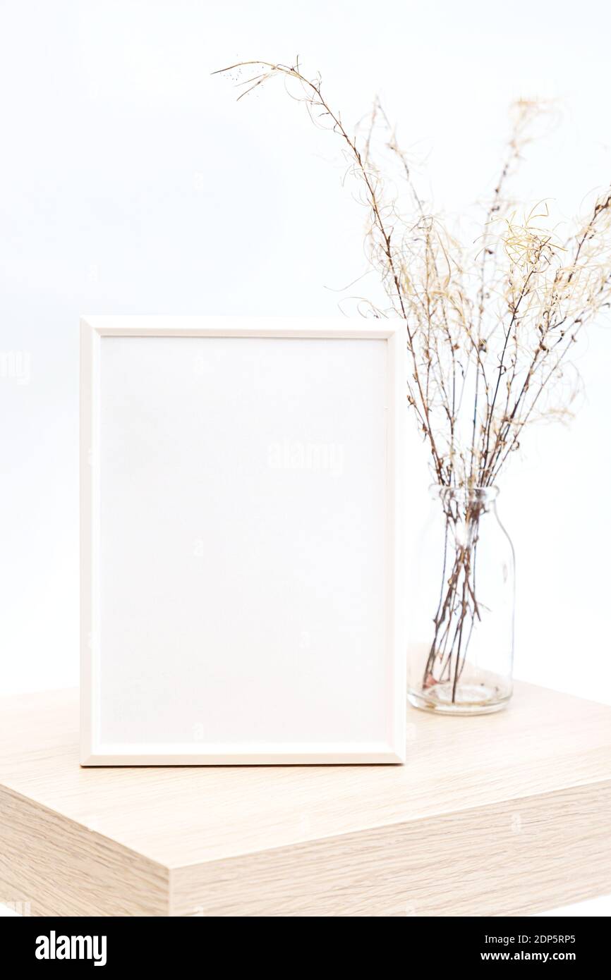 Pampas grass in border hi-res stock photography and images - Alamy