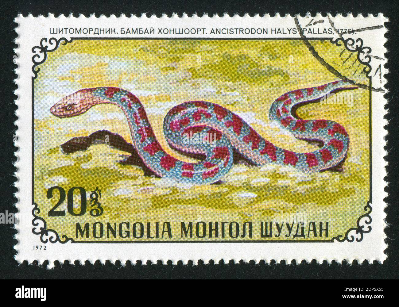 MONGOLIA - CIRCA 1972: stamp printed by Mongolia, shows snake, circa ...