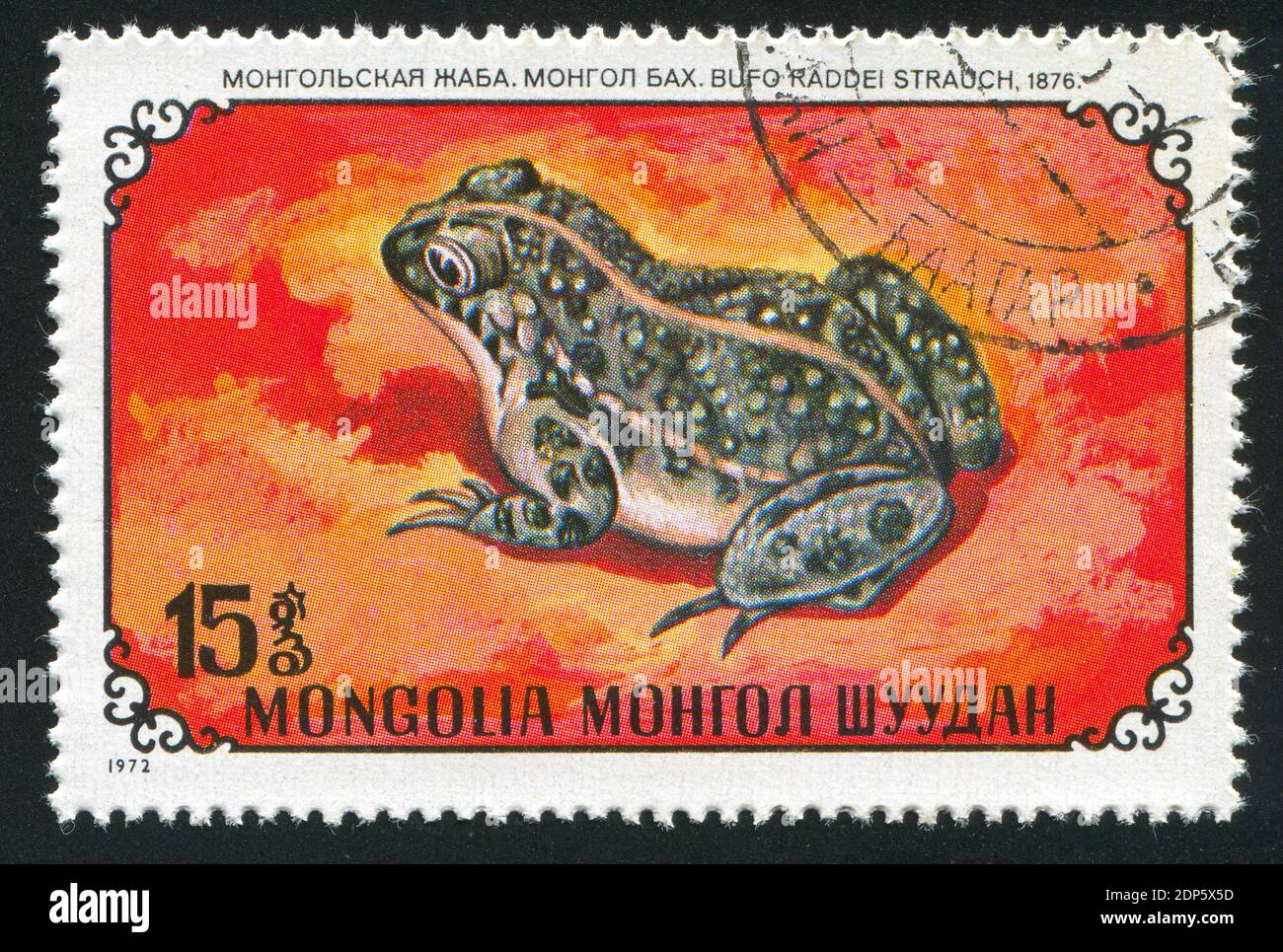 MONGOLIA - CIRCA 1972: stamp printed by Mongolia, shows frog, circa ...
