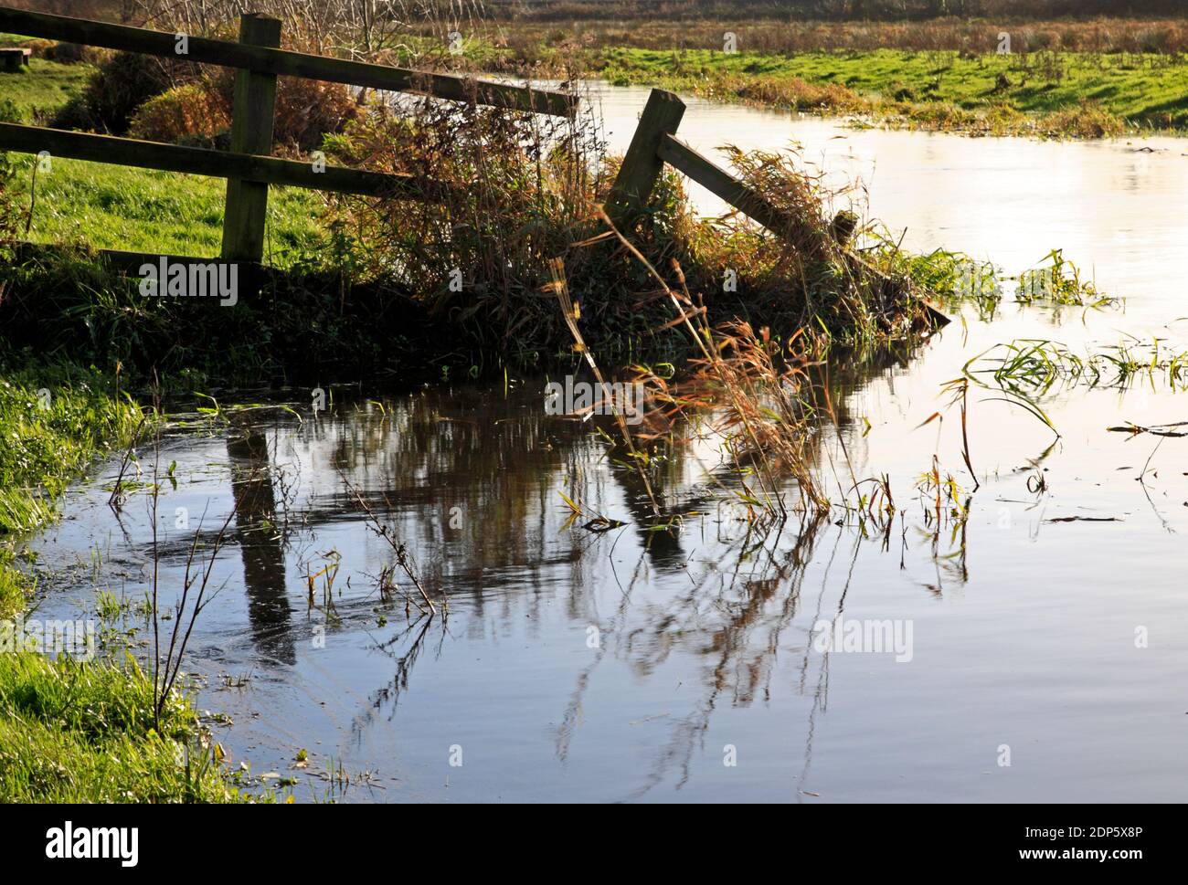Cattle restraining fencing and reflections by the River Yare in flood ...