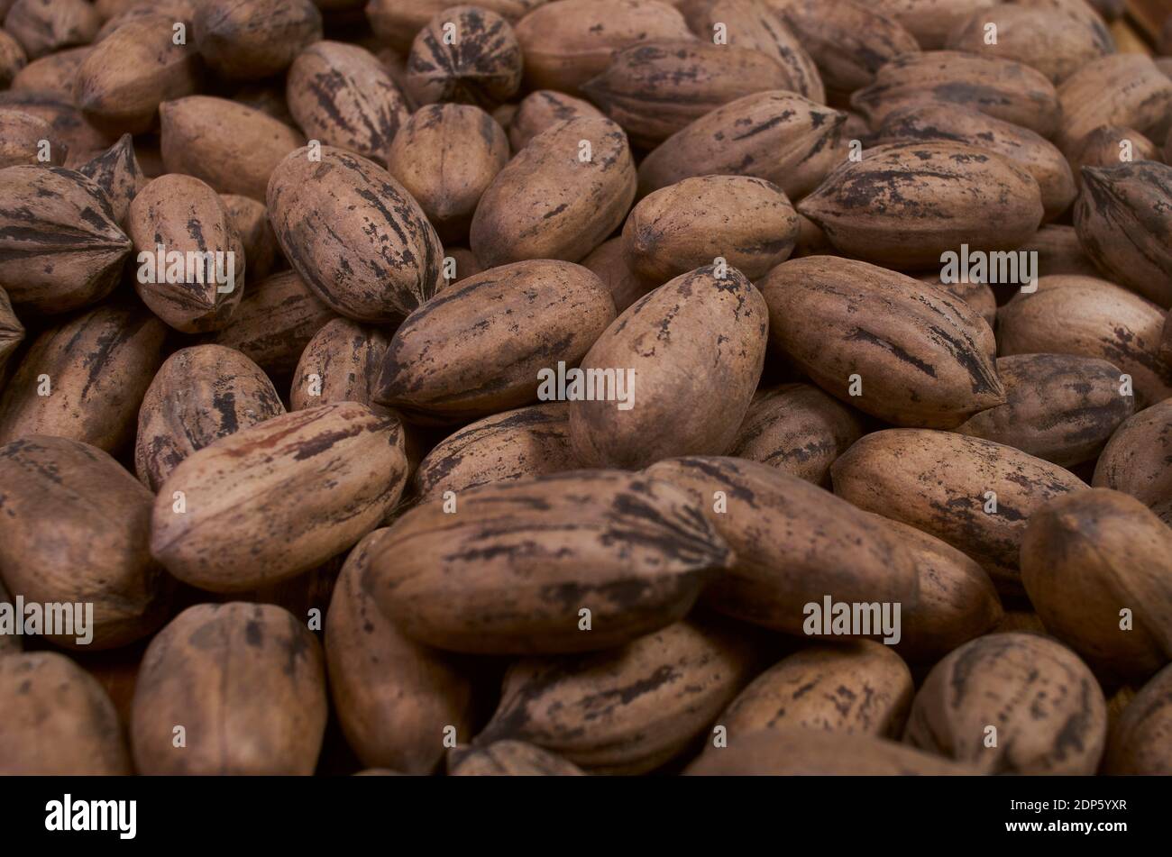 Pecan nuts with nutshell. Background pattern Stock Photo - Alamy