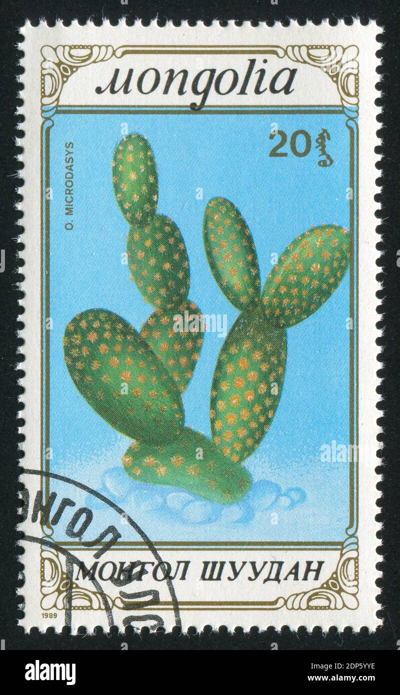 MONGOLIA - CIRCA 1989: stamp printed by Mongolia, shows cactus, circa ...