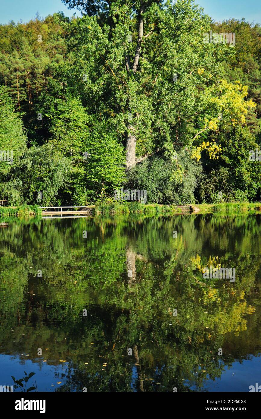 Schwarzweiher, or Black Pond in Rhineland Pfalz, Germany on a summer ...
