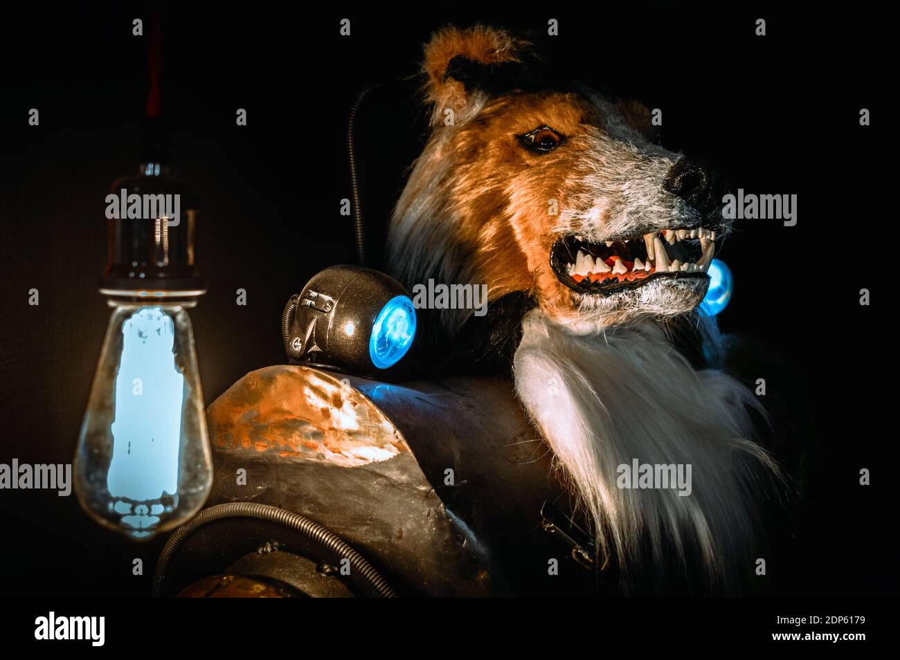 Cyber wolf from space in the dark Stock Photo - Alamy