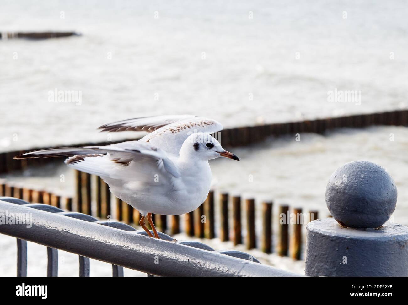 Sitting parapet hi-res stock photography and images - Alamy