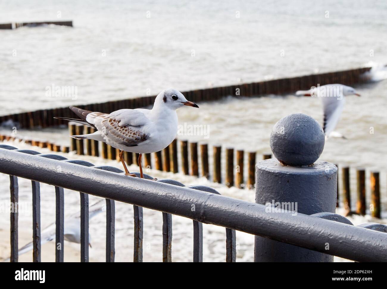 Sitting parapet hi-res stock photography and images - Alamy