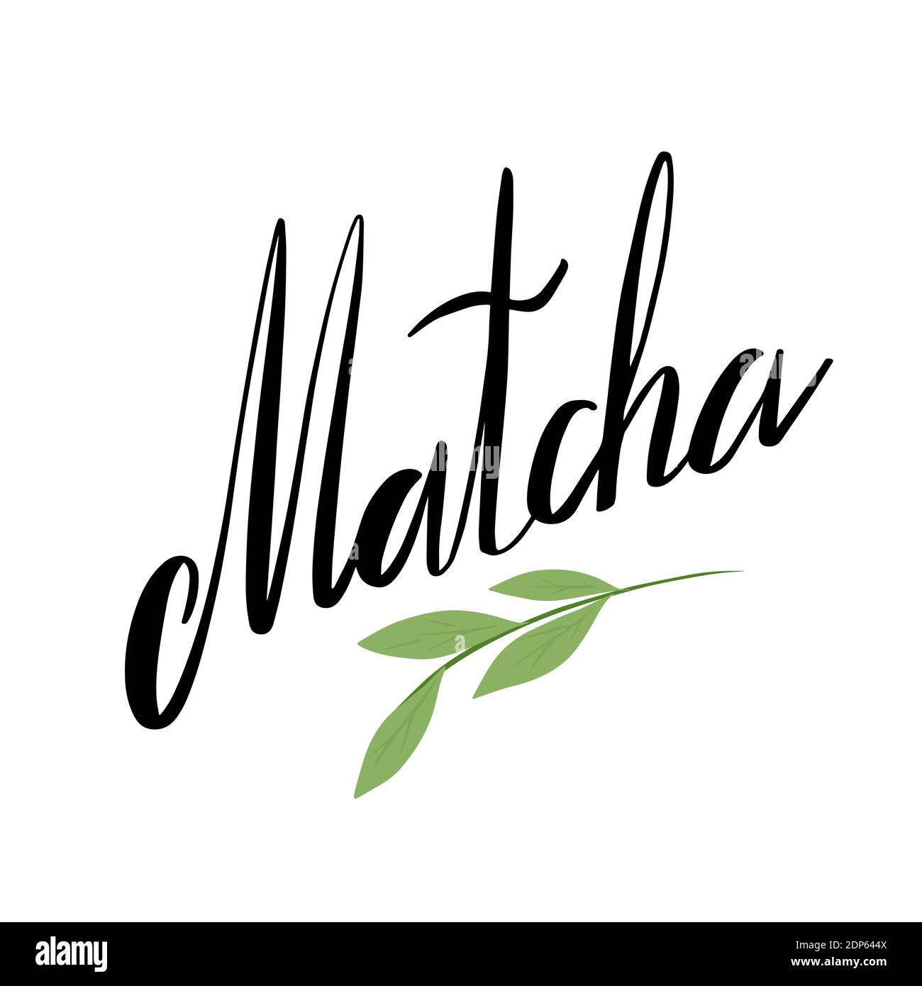 Japanese green tea matcha. Handwritten lettering and twigs with green ...