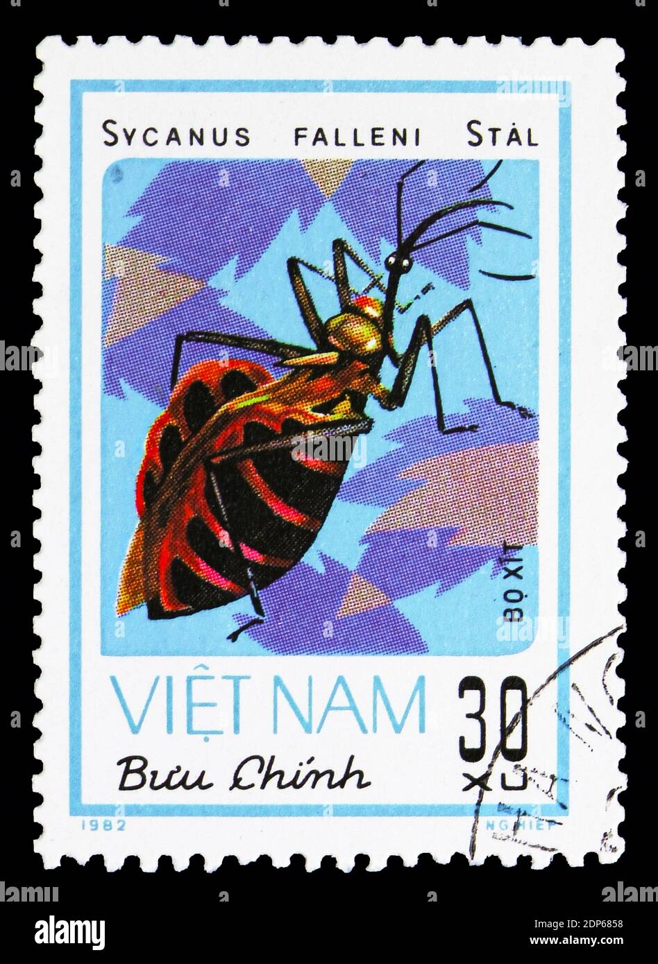 Sycanus falleni hi-res stock photography and images - Alamy