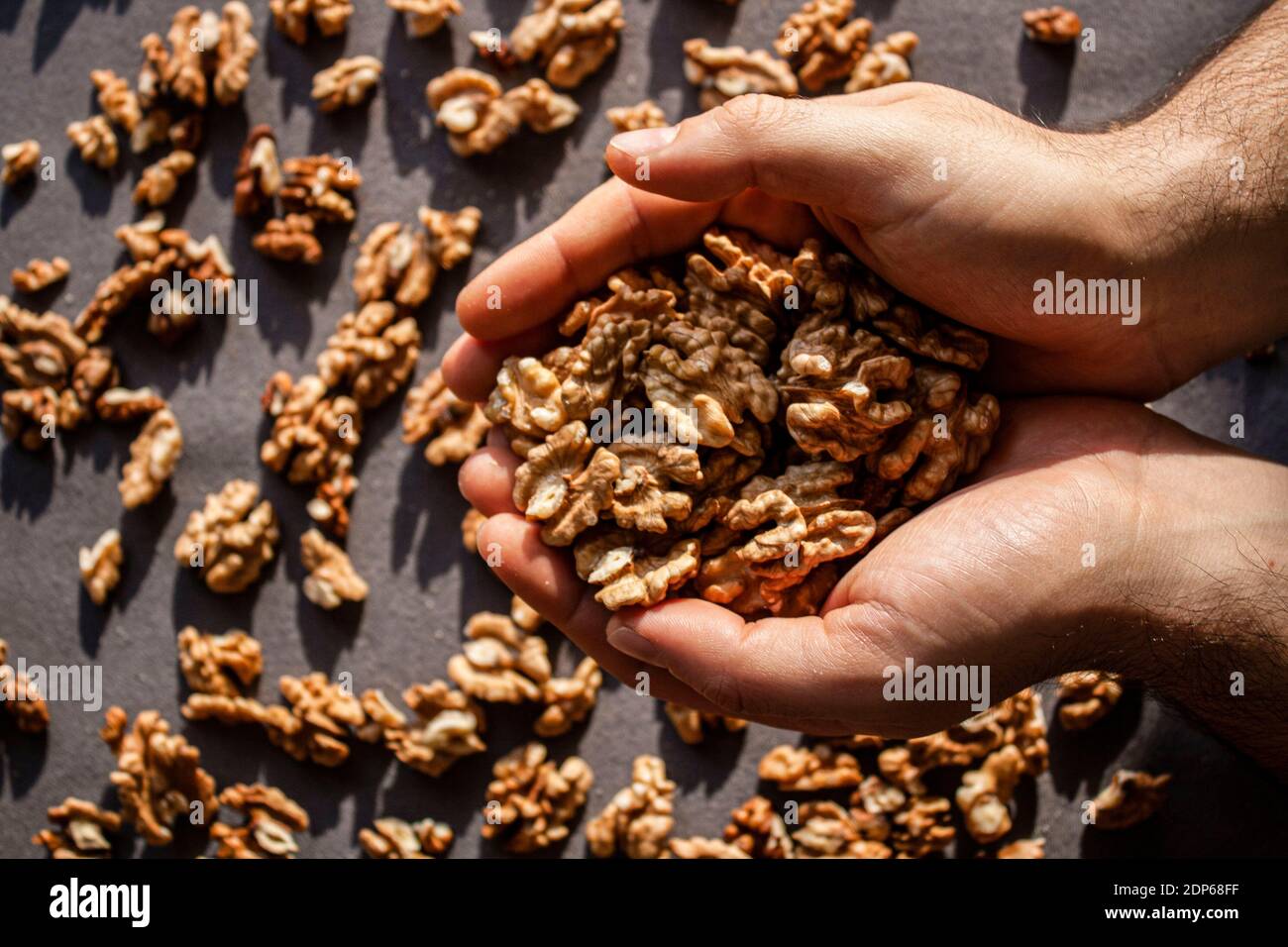 Walnut in mans hand hi-res stock photography and images - Alamy